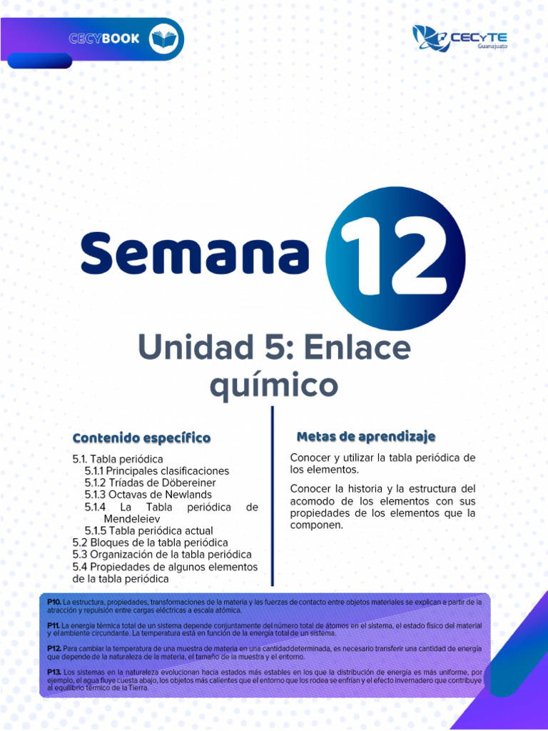 Semana 12 | PDF