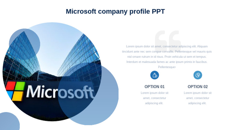 109090-Microsoft Company Profile | PDF