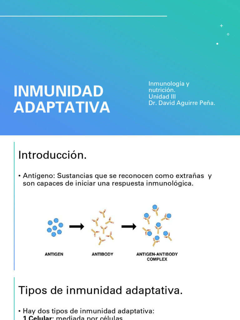 Inmunidad Adaptativa | PDF | Célula T | Sistema inmune