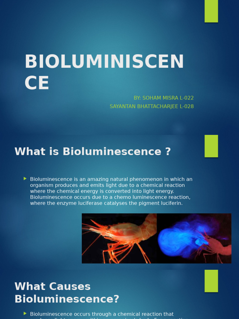 Bioluminescence Final | PDF | Fluorescence | Green Fluorescent Protein