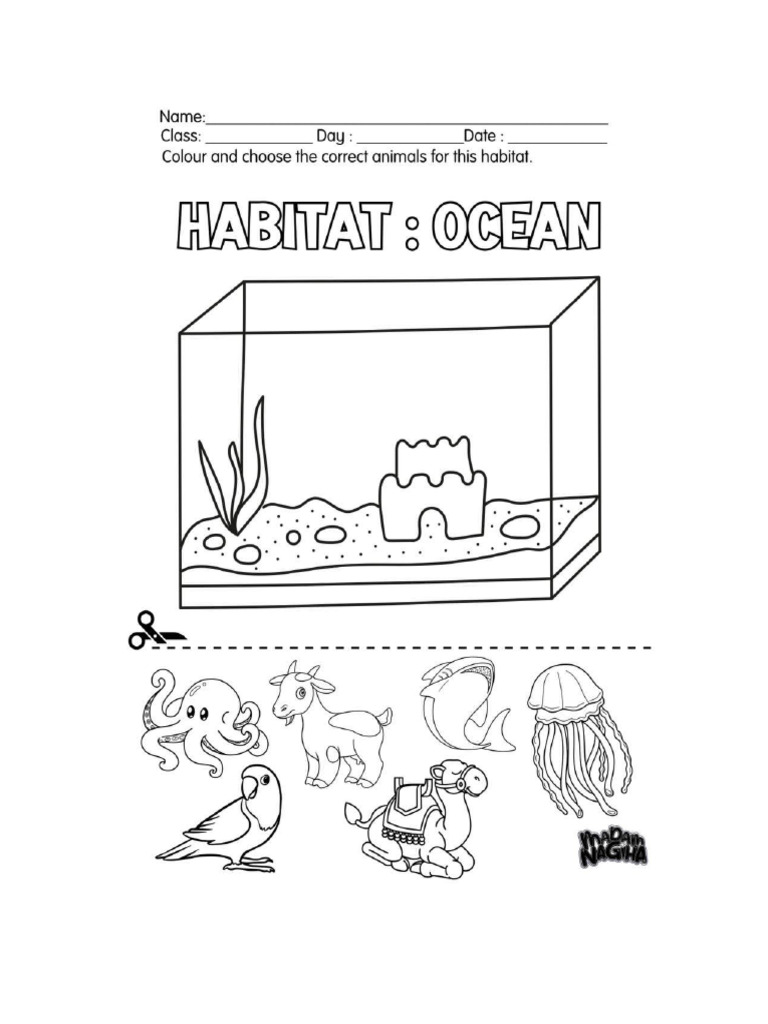 Year 2 Unit 6 The Old House | PDF Year 2 Unit 6 The Old House | PDF