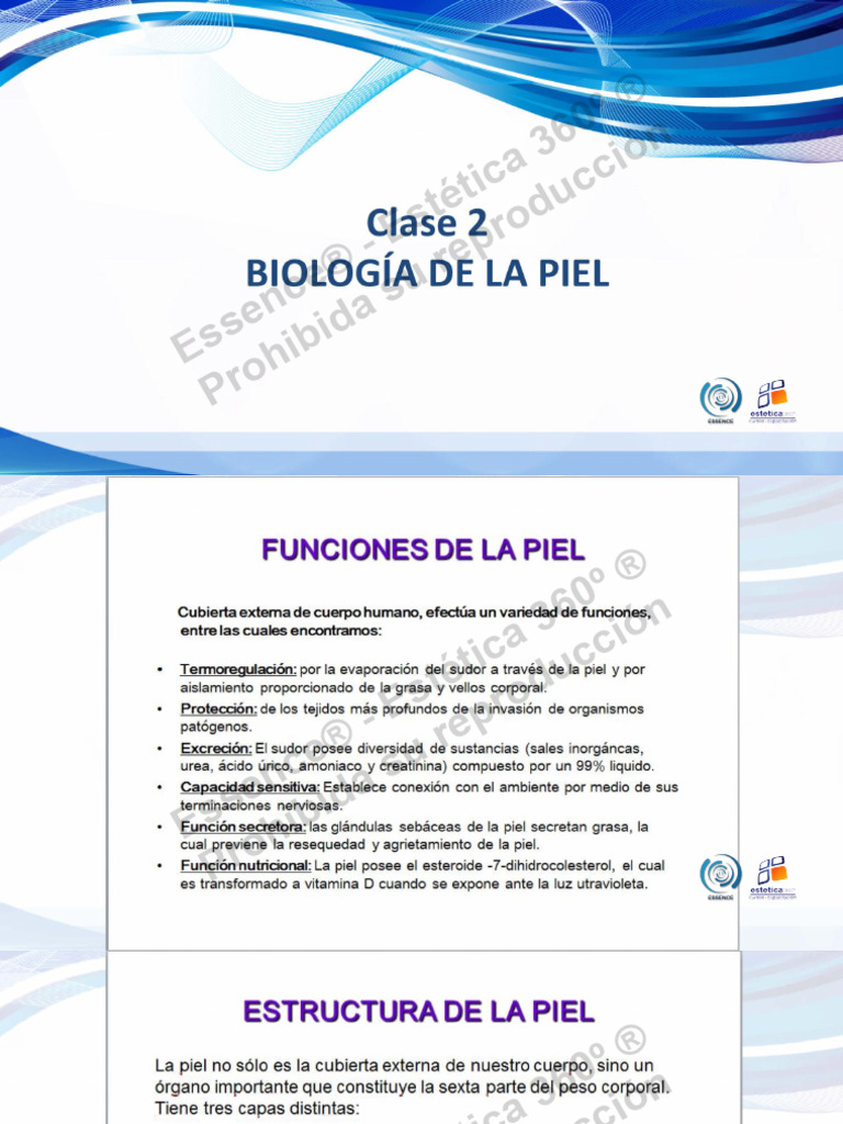 Biologia de La Piel - Apuntes | PDF