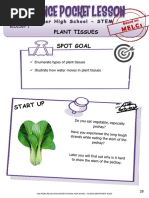 Celery Anatomy: Microscopic Overview | PDF