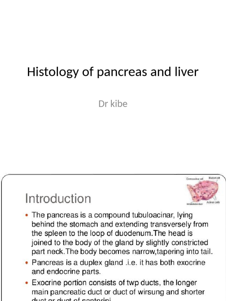 Histology of Pancreas and Liver | PDF | Liver | Pancreas