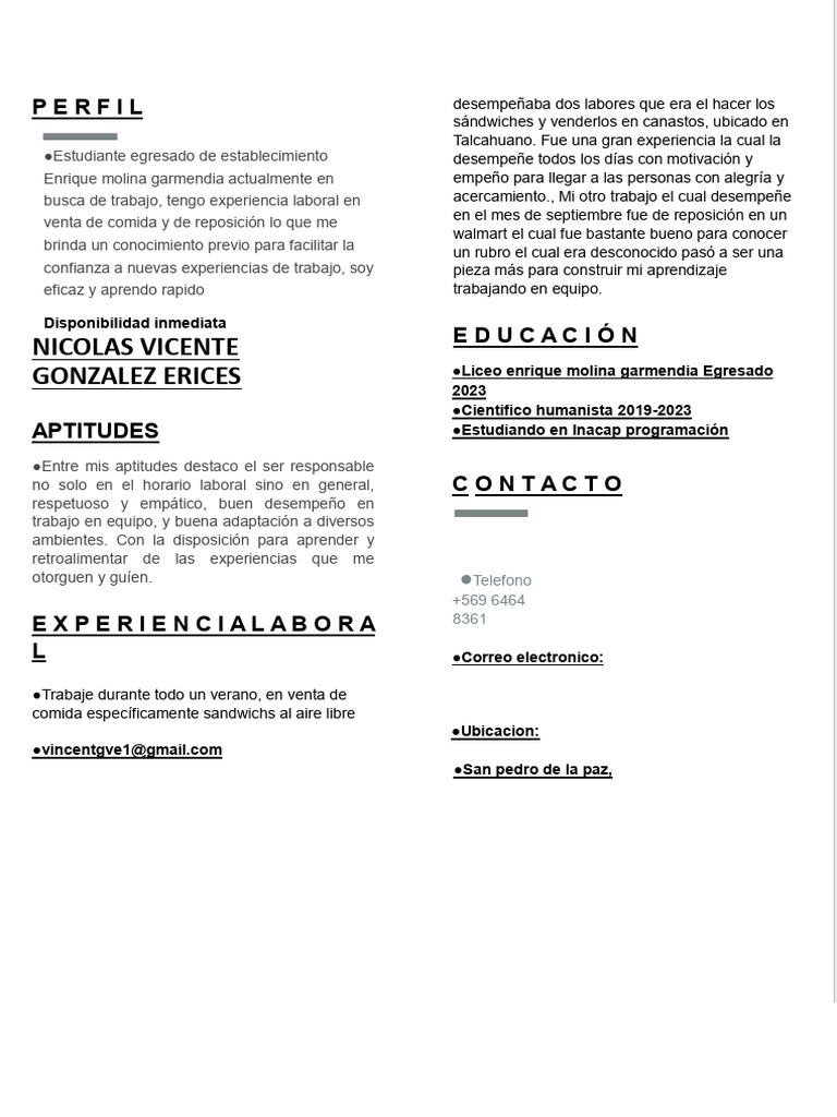 Curriculum Nicolas | PDF