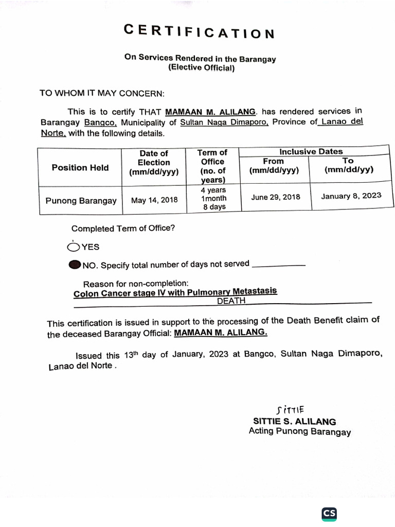 Certificate of Service Rendered | PDF