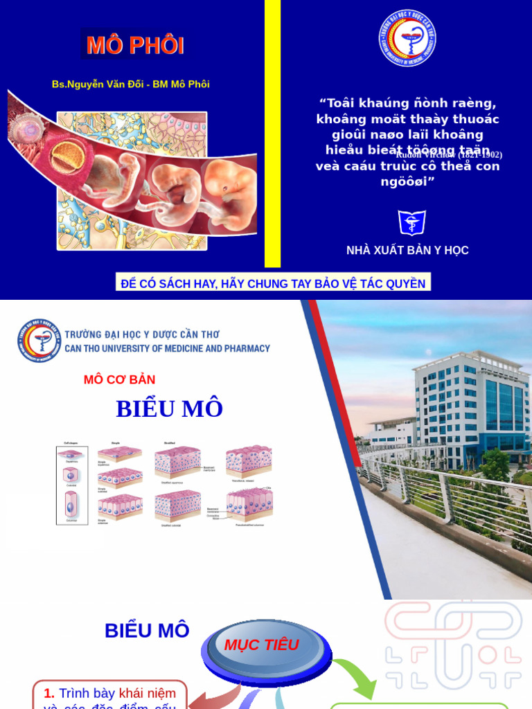 Bieu Mo - NXB y Hoc-Dr Doi | PDF
