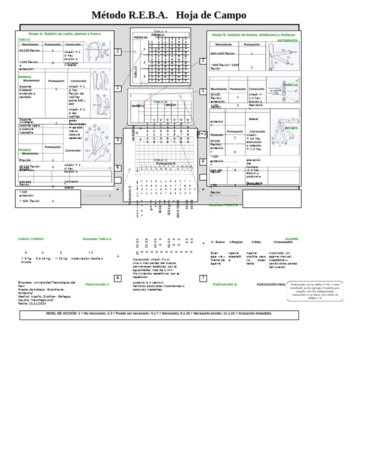 Hoja de Campo - REBA | PDF | Sistema musculoesquelético | Articulaciones