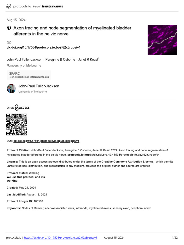 Axon Tracing and Node Segmentation of Myelinated B Dedu3a6w | PDF ...