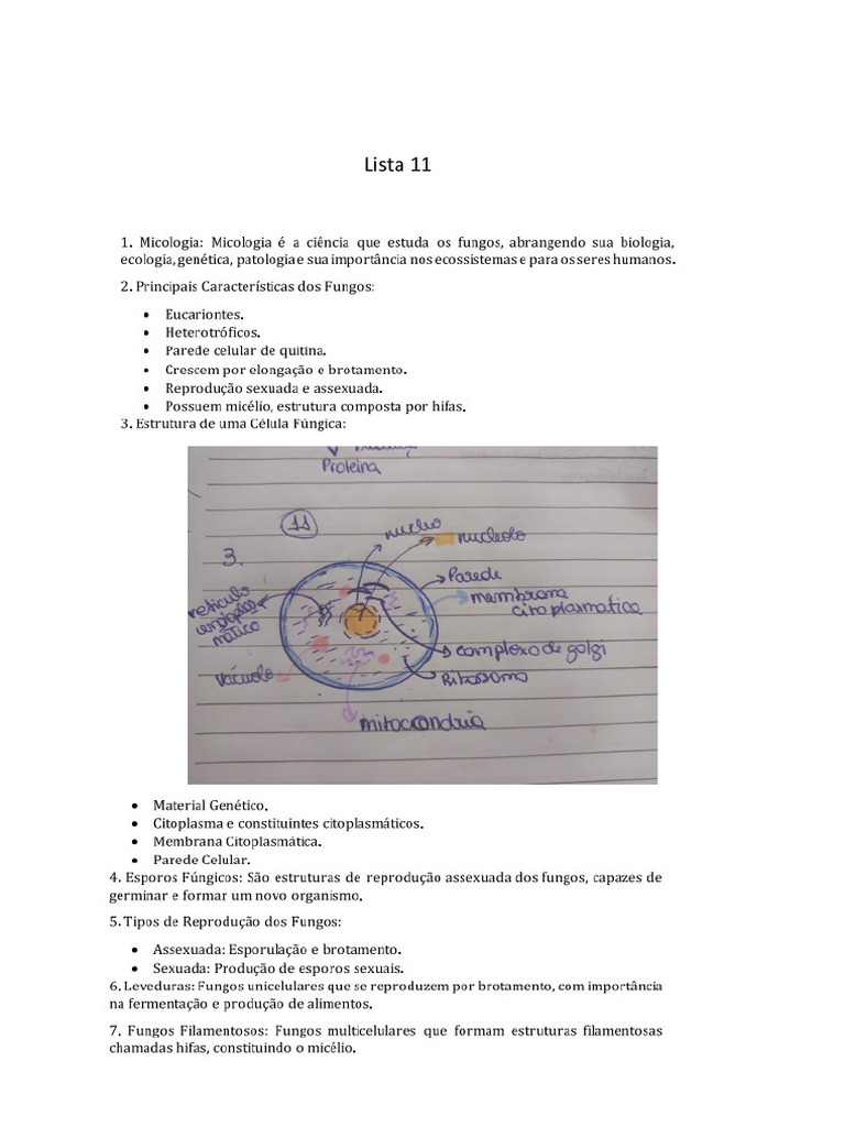 Atividade 11 | PDF