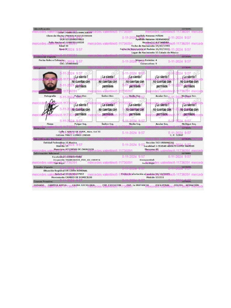 Alejandro Piñon Hernandez | PDF