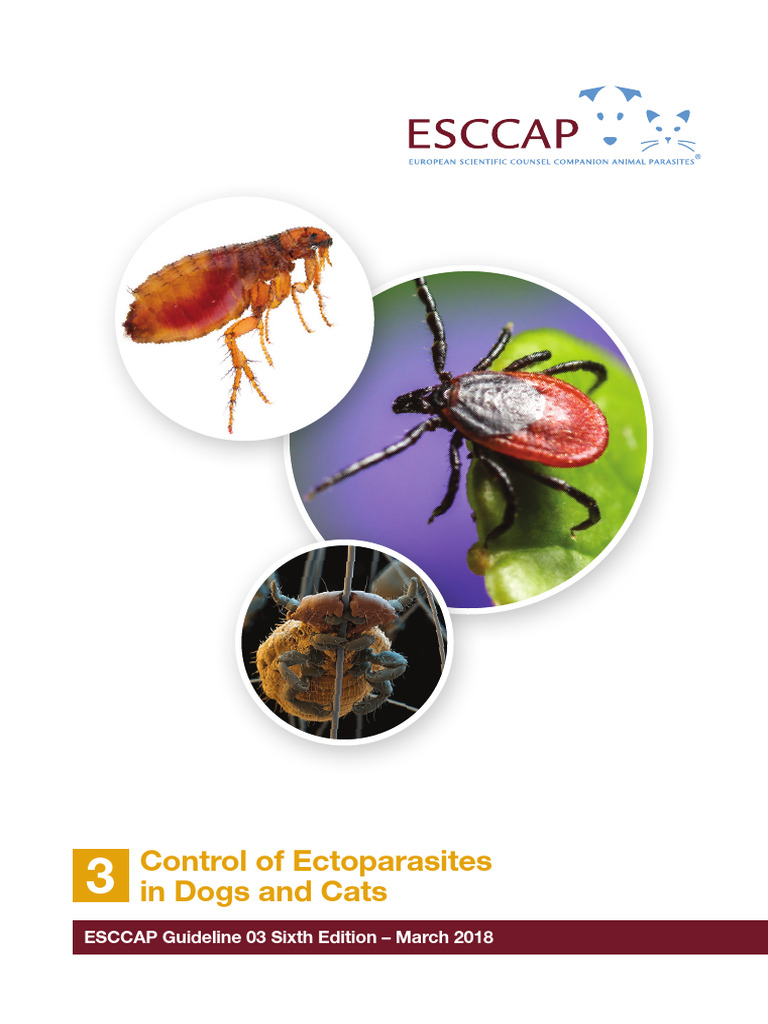 GL3 - Control of Ectoparasites in Dogs and Cats | PDF | Parasitism | Pupa