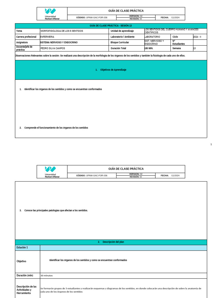 SEMANA 13 Guía de Práctica SNYE | PDF
