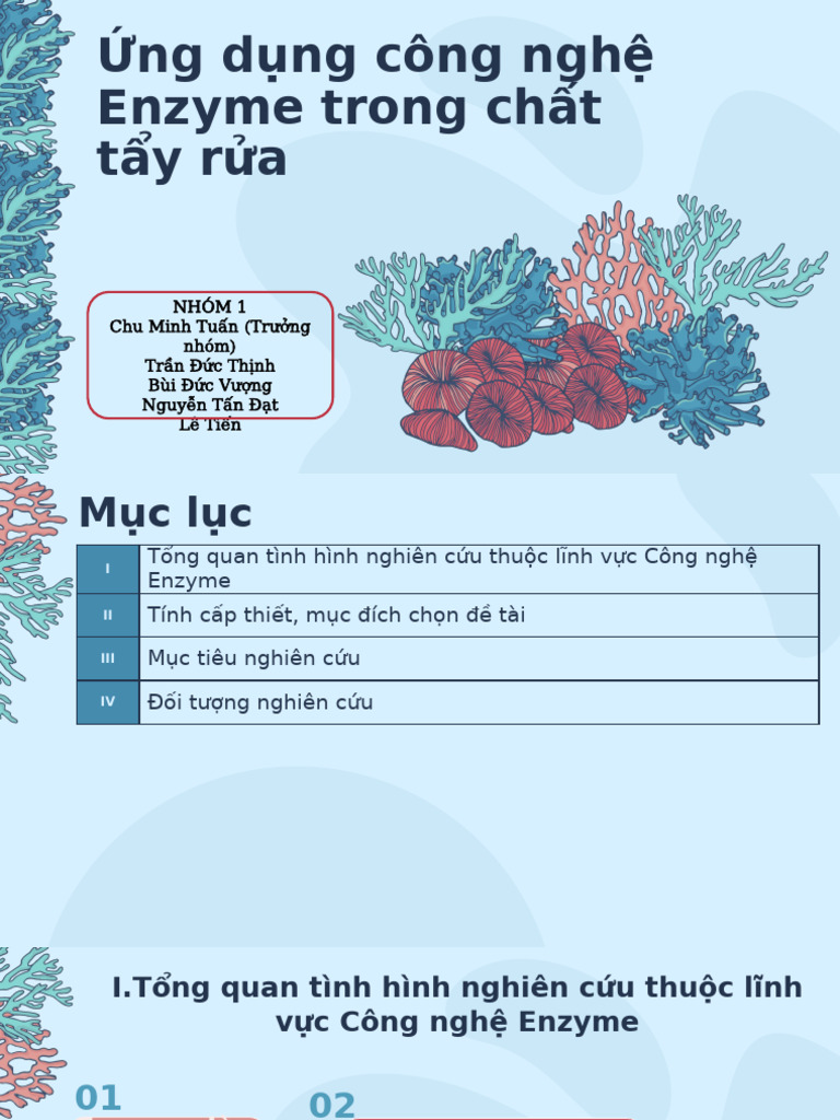 Công Nghệ Enzyme | PDF