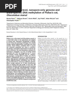 Wild Cat Family List by Lineage - Family | PDF | Felidae | Panthera