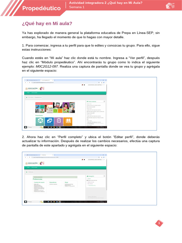 Proyecto Integrador | PDF | Crecimiento personal y profesional | Negocios