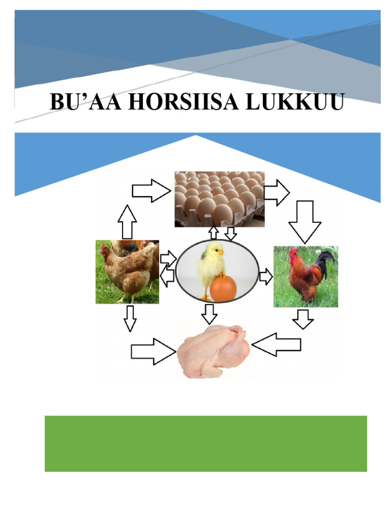 Horsiisa Lukkuu Fi Bu'Aa Isaa | PDF