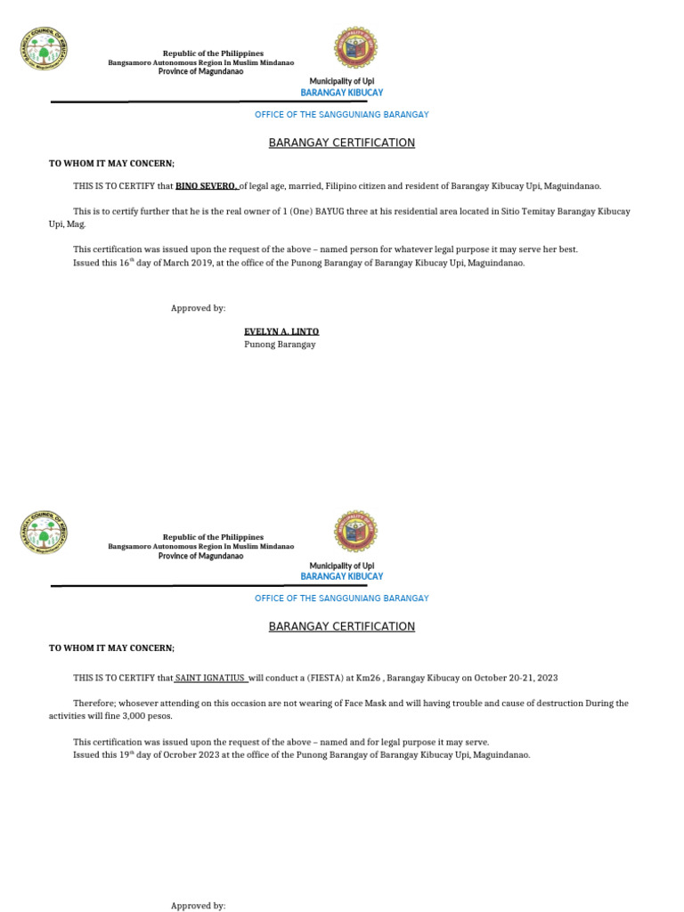 Barangay Permit 2020 | PDF | Philippines