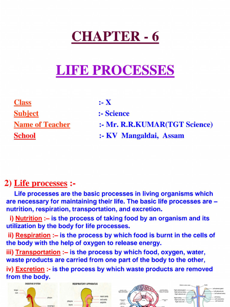 6-Life Processes | PDF