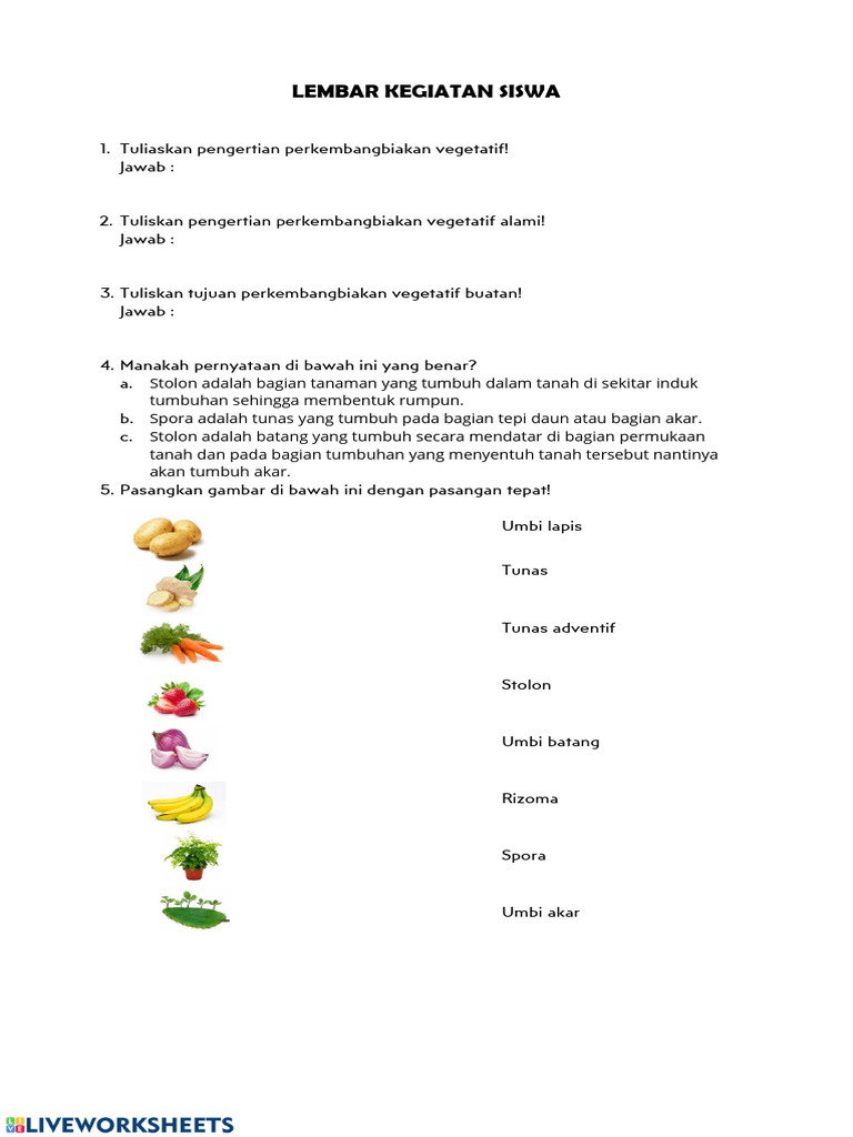 LKPD PERKEMBANGBIAKAN VEGETATIF | PDF | Seni & Disiplin Bahasa | Kajian Bahasa Asing