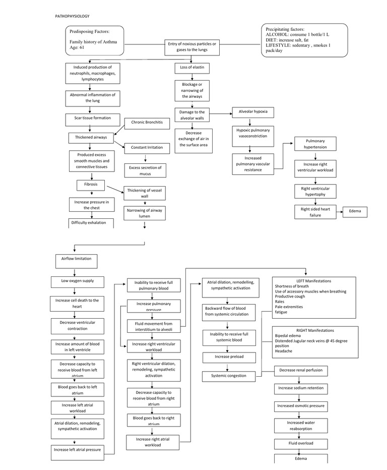 Pathophysiology Copd-Chf | PDF