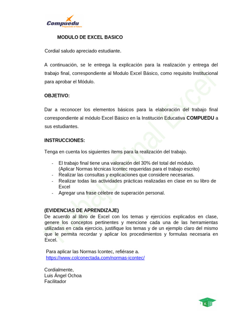 Proyecto Excel Final | PDF | Microsoft Excel | Informática