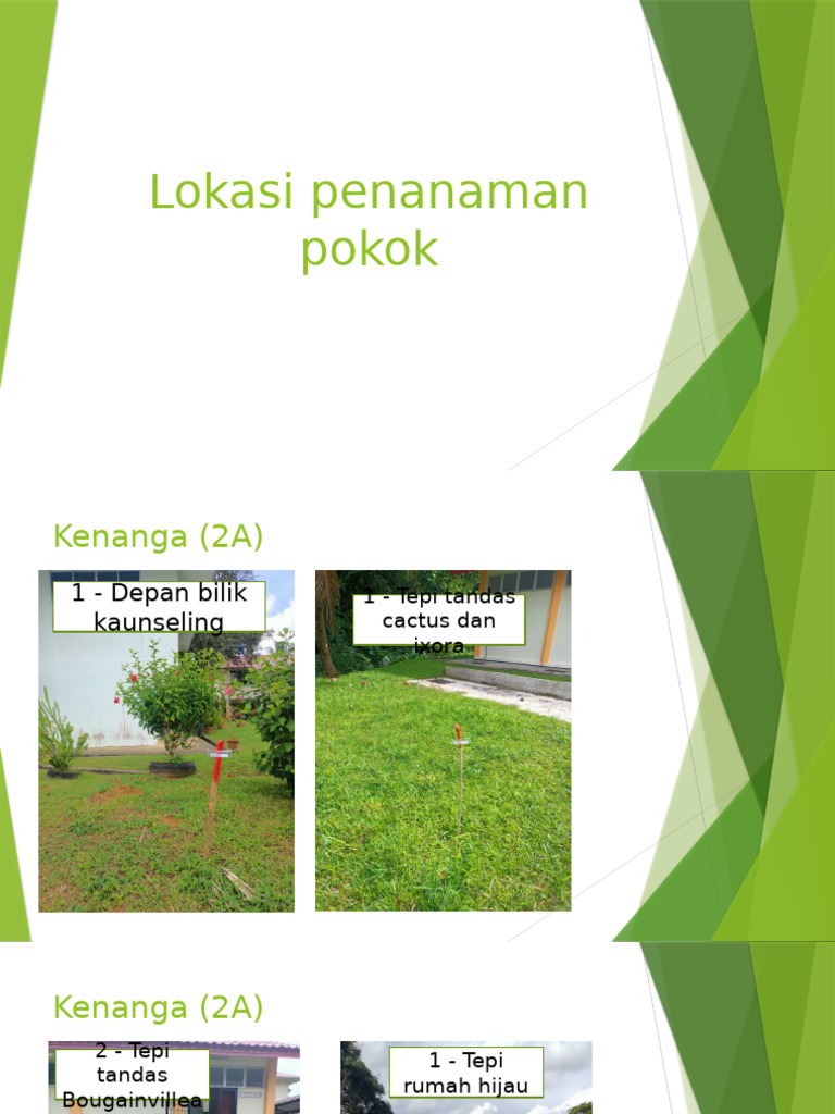 Lokasi Penanaman Pokok | PDF