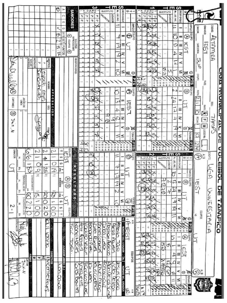 Hojas Marzo y Pinos | PDF