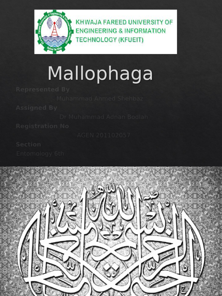 Mallophaga 1 | PDF