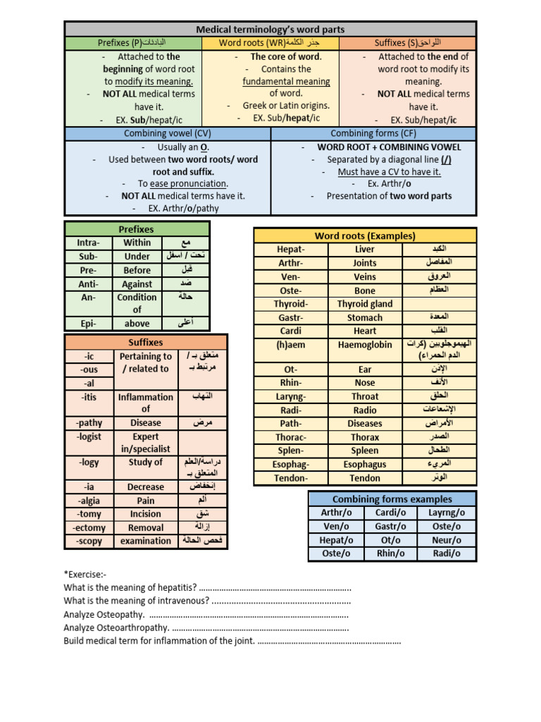 Medical Terms (1) - 240910 - 183356 | PDF | Pharmacy | Medicine