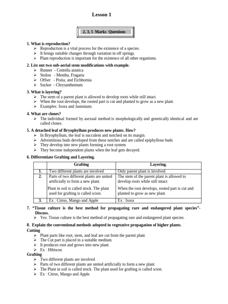 12th Bio Botany EM Full Study Materials English Medium PDF Download ...