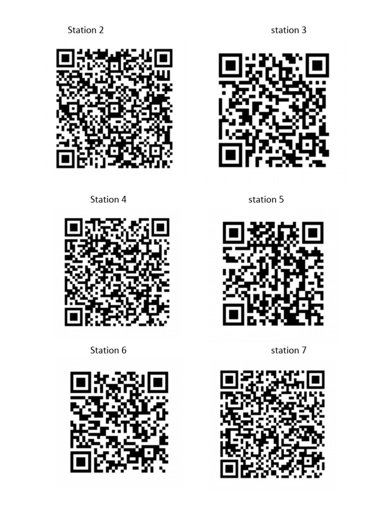 QR Codes | PDF