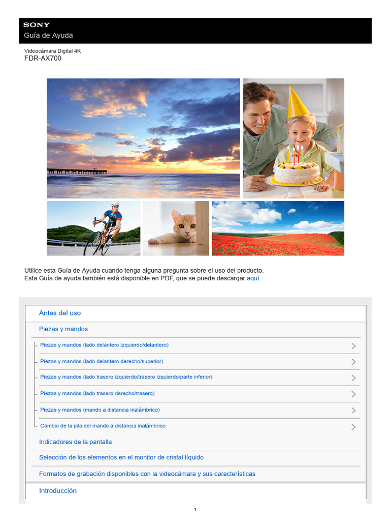 Manual Sony | PDF | Fuente de alimentación | Cámara