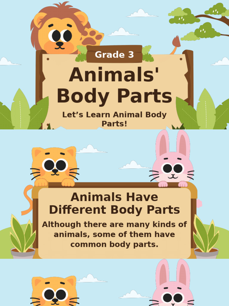 Learn Animal Body Parts for Kids | PDF
