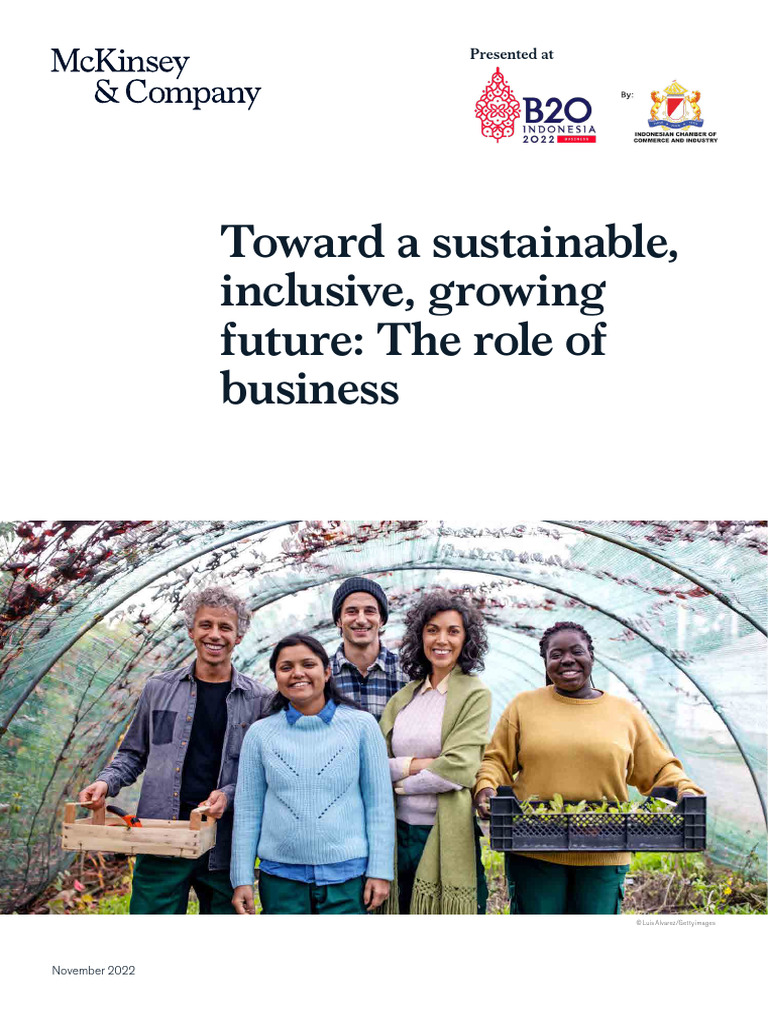 Toward A Sustainable Inclusive Growing Future The Role of Business ...