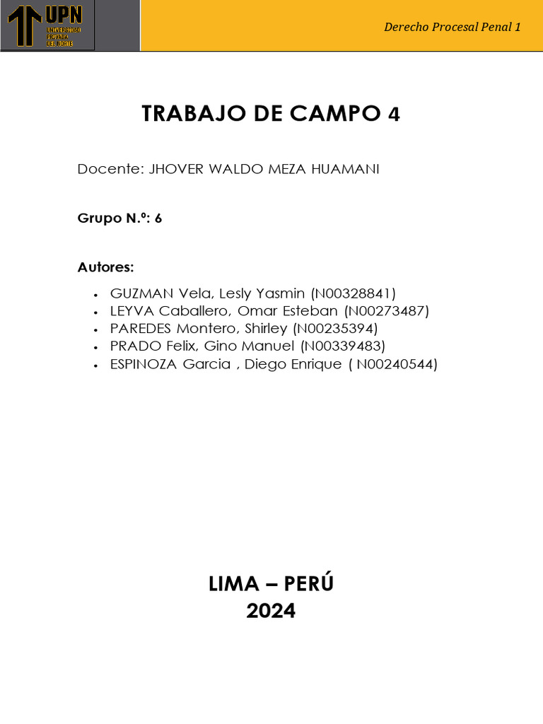 TC4 DPP | PDF | Jurisdicción | Policía