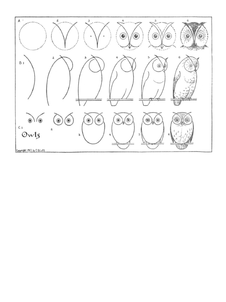 Drawing Owls Easy Step by Step - Super Coloring | PDF