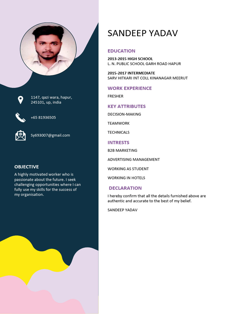 Sandy Resume.... | PDF