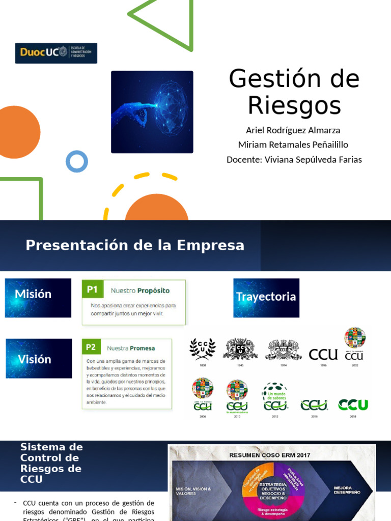 Examen Transversal Profe VIVI Gestion de Riesgo | PDF