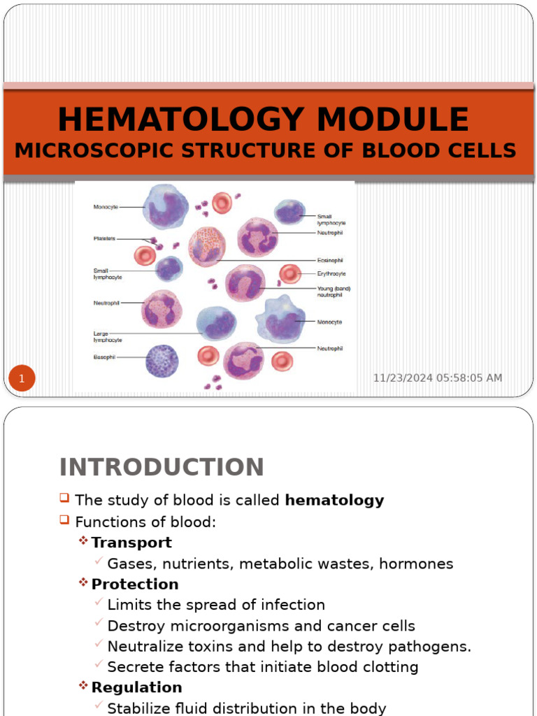 Hematology Module Microscopic Structurs of Blood Vessels 2 | PDF ...