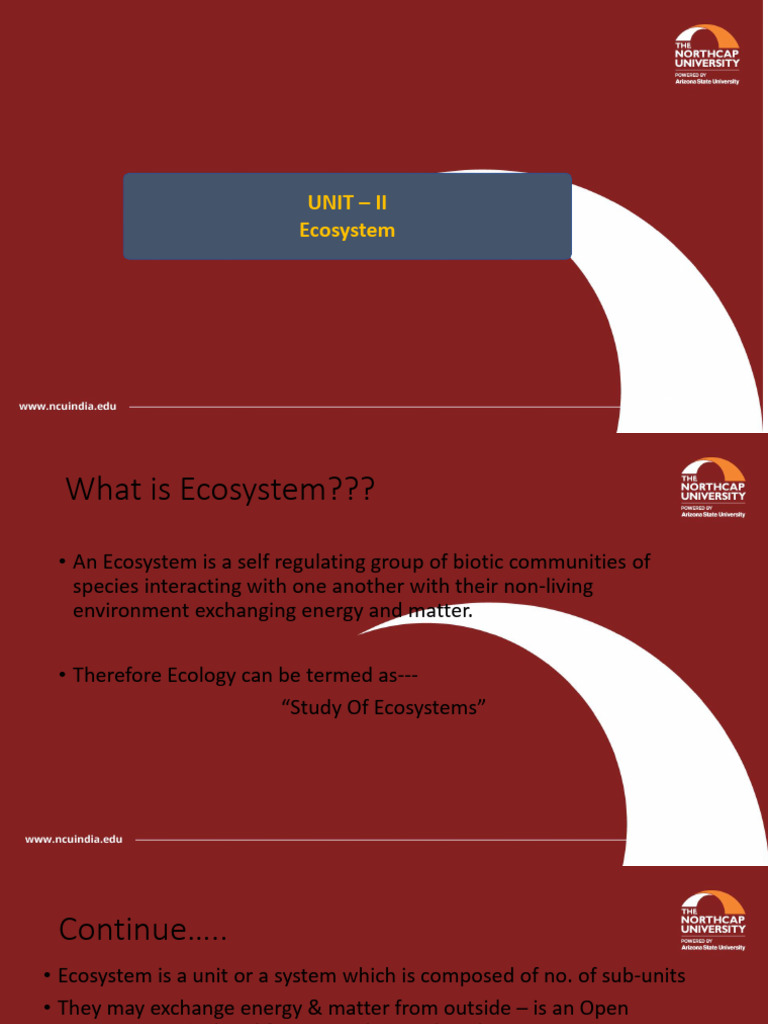 Understanding Ecosystems And Ecology Pdf Ecosystem Ecology