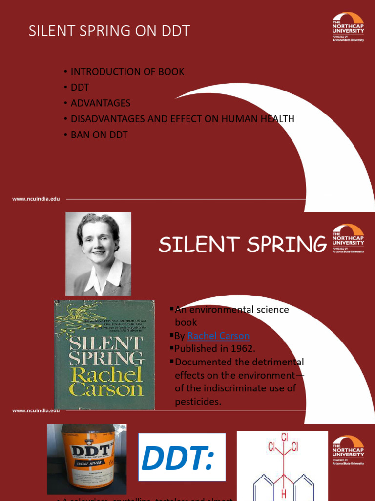 L4 Case Study - DDT | PDF | Wellness