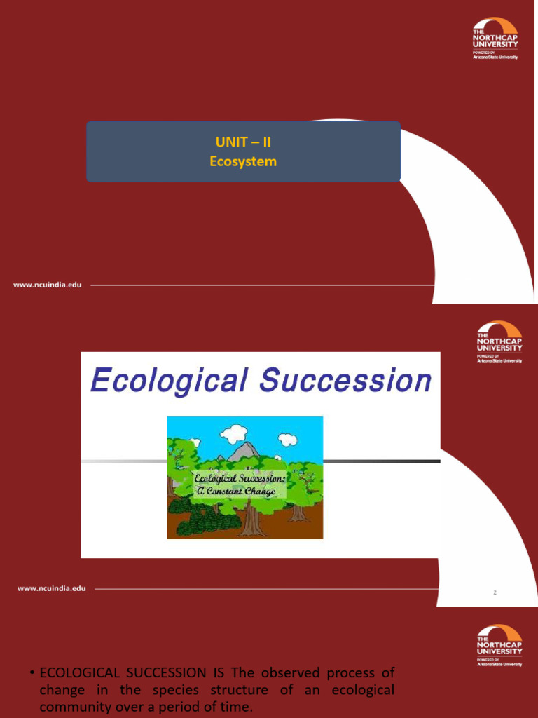 Understanding Ecological Succession Types | PDF