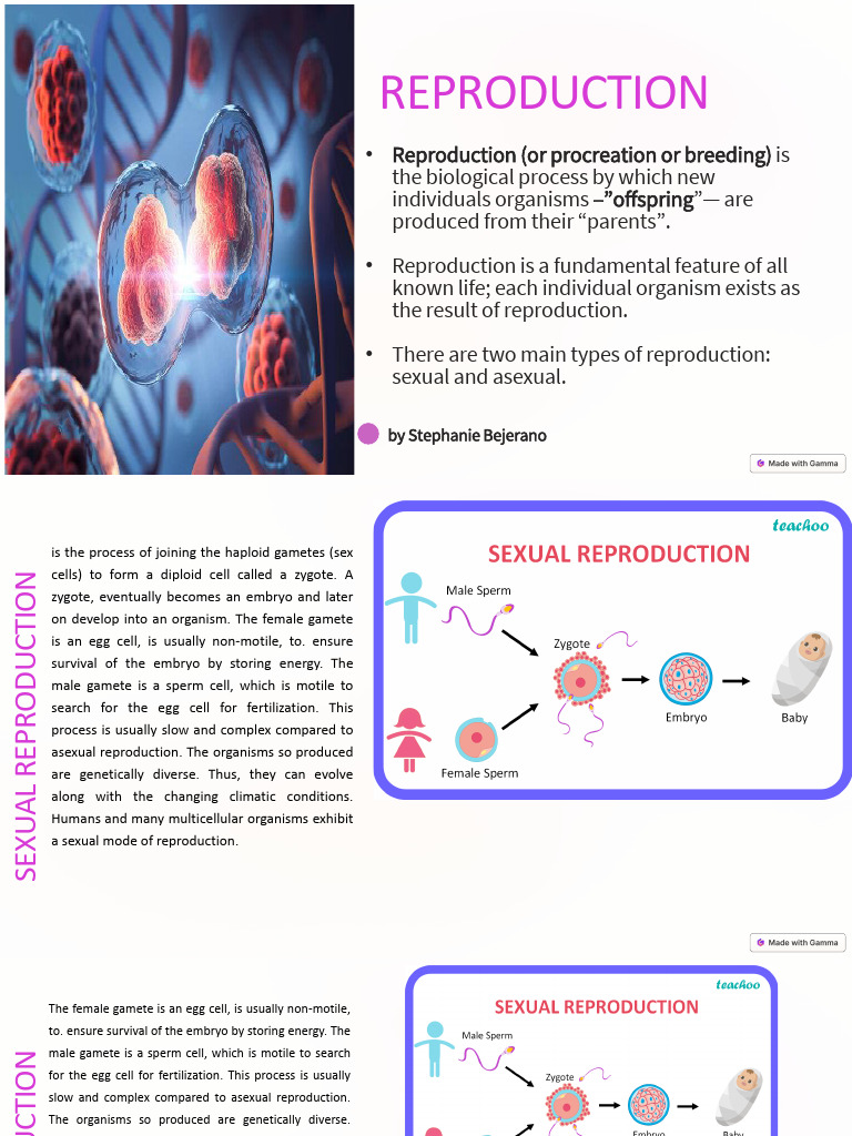 Sexual and Asexual Reproduction | PDF | Sexual Reproduction | Reproduction