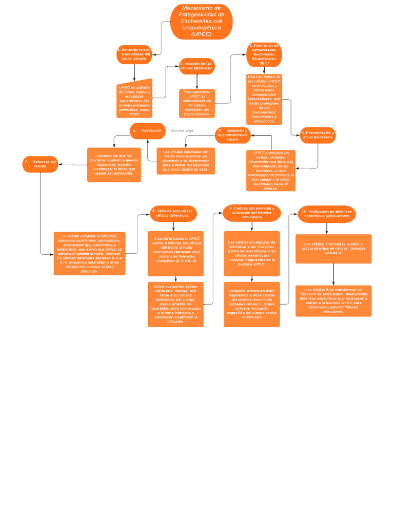 Ent Final | PDF | Sistema inmune | Infección