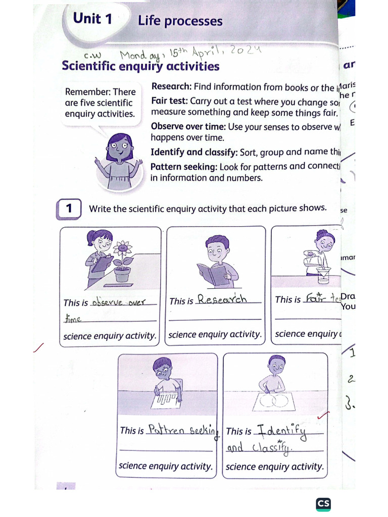 Science First Term Syllabus | PDF