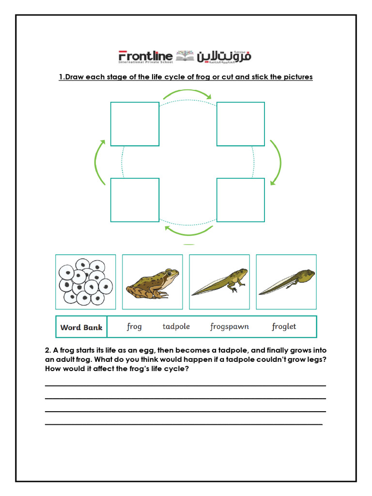 Frog Life Cycle Exploration | PDF