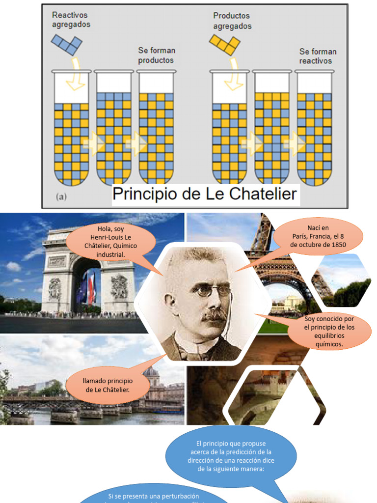 Principio de Le Châtelier: Equilibrios Químicos | PDF | Equilibrio químico | Ramas de la ...