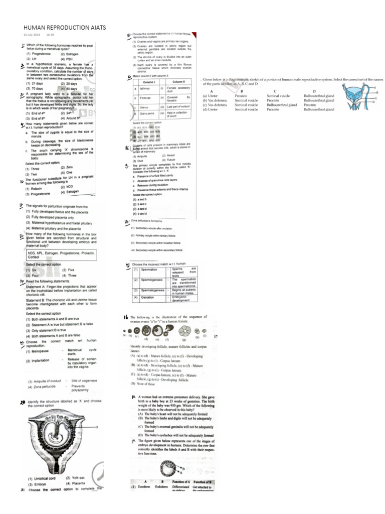 Human Reproduction (Practice Questions) | PDF