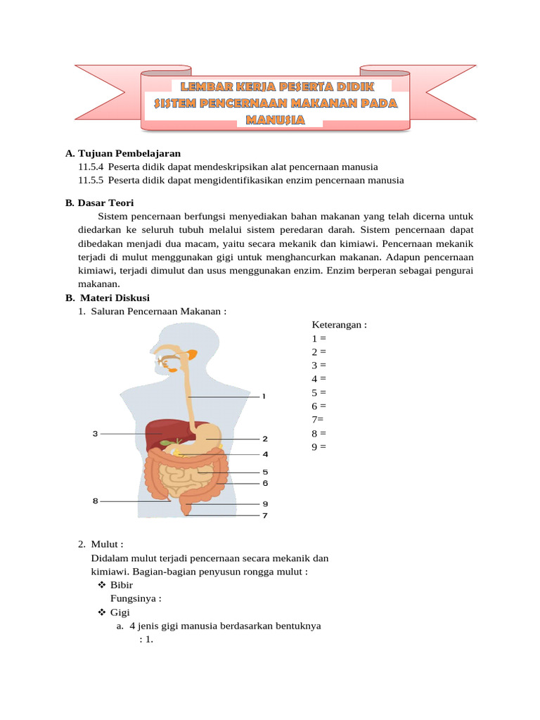 LKPD - Sistem Pencernaan | PDF | Kesehatan Holistik | Sains & Matematika